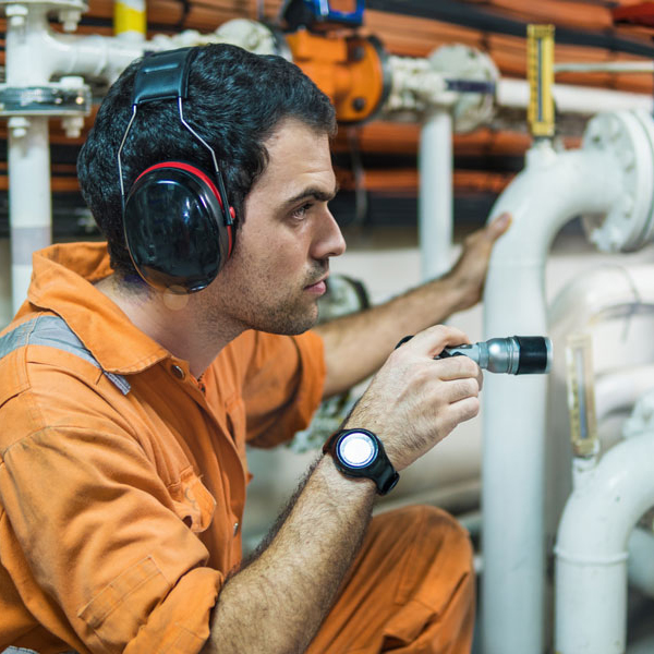 About us – Bayvalves